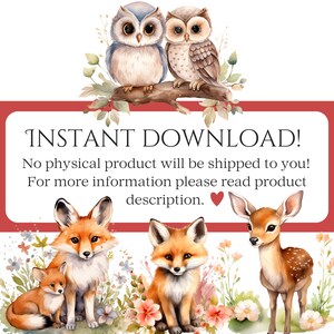15 Cute Woodland Animals Clipart Bundle Forest Animals Clipart ...