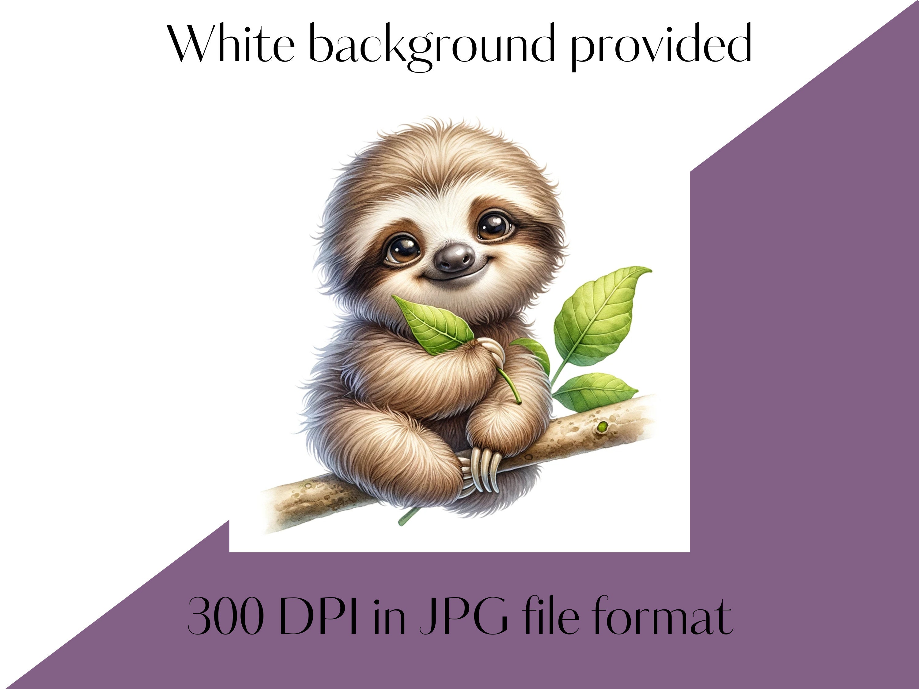 Sloth Clipart | 12 Baby Sloth Clipart | High Quality JPG | Lazy Sloth ...