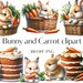 17 Watercolor Carrot Clipart PNG Cute Bunny Clipart Rabbit Clipart ...