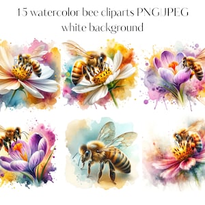 15 Watercolor Cute Bee Digital Images Jpgs Bee Clipart PNG Honey Bee ...