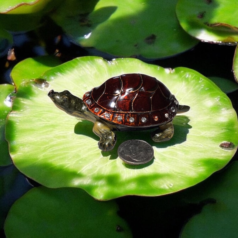 Turtle Jewelry Box - Etsy