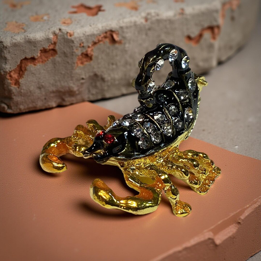 Small Scorpion Trinket Box, Scorpion Gift, Pill Box, Insect Gift - Etsy