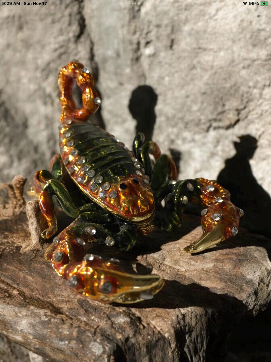 Vintage Scorpion Trinket Pill Box, Scorpion Jewelry, Insect Jewelry ...