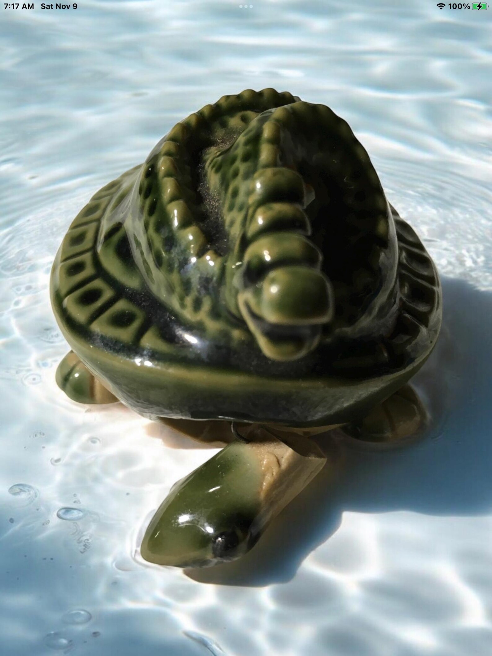 Vintage Bobble Head Turtle With Alligator on Its Back. Ceramic Turtle ...