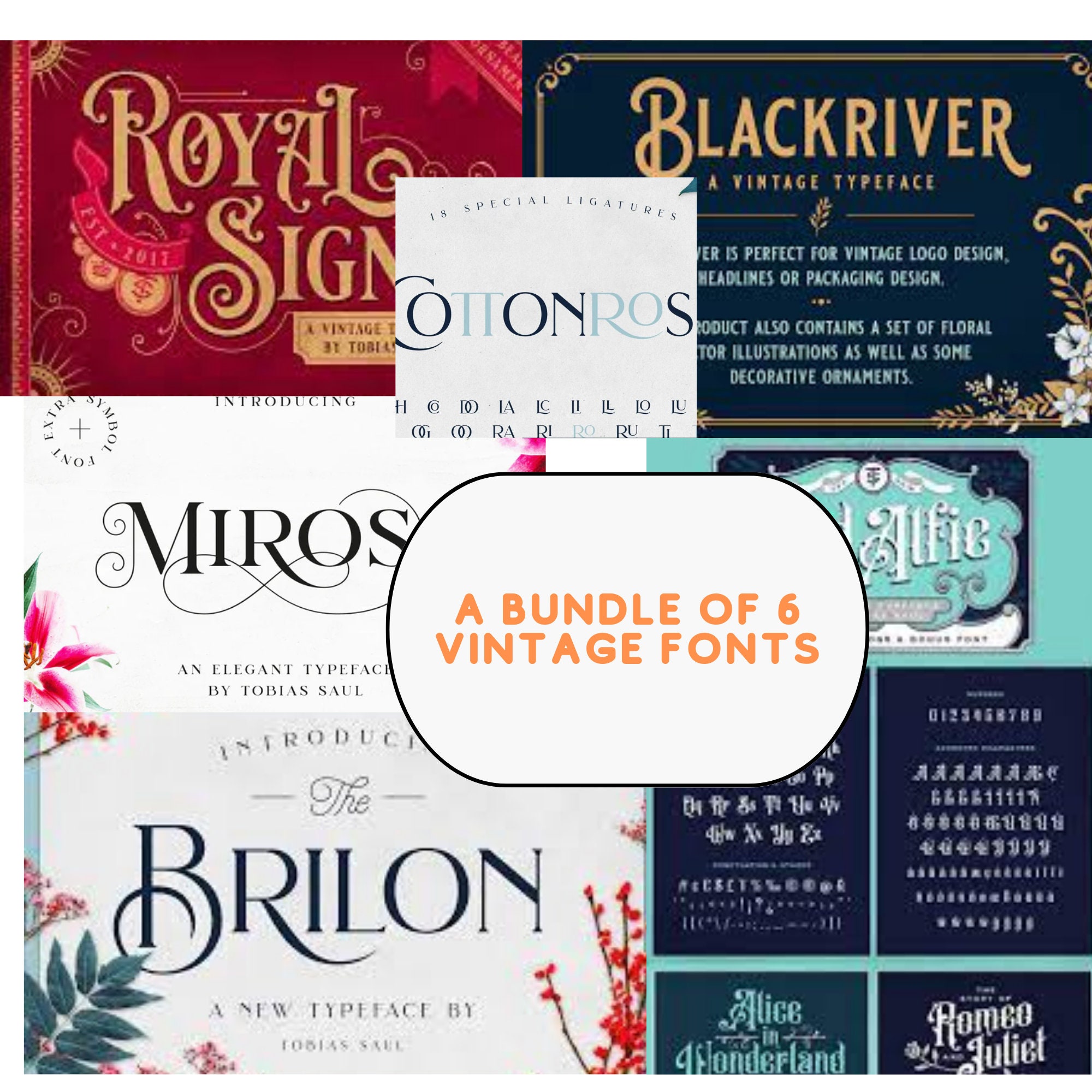 Vintage Fonts 6 Bundle Brilon, Mirosa, Royal Signage, Blackriver, Plus ...