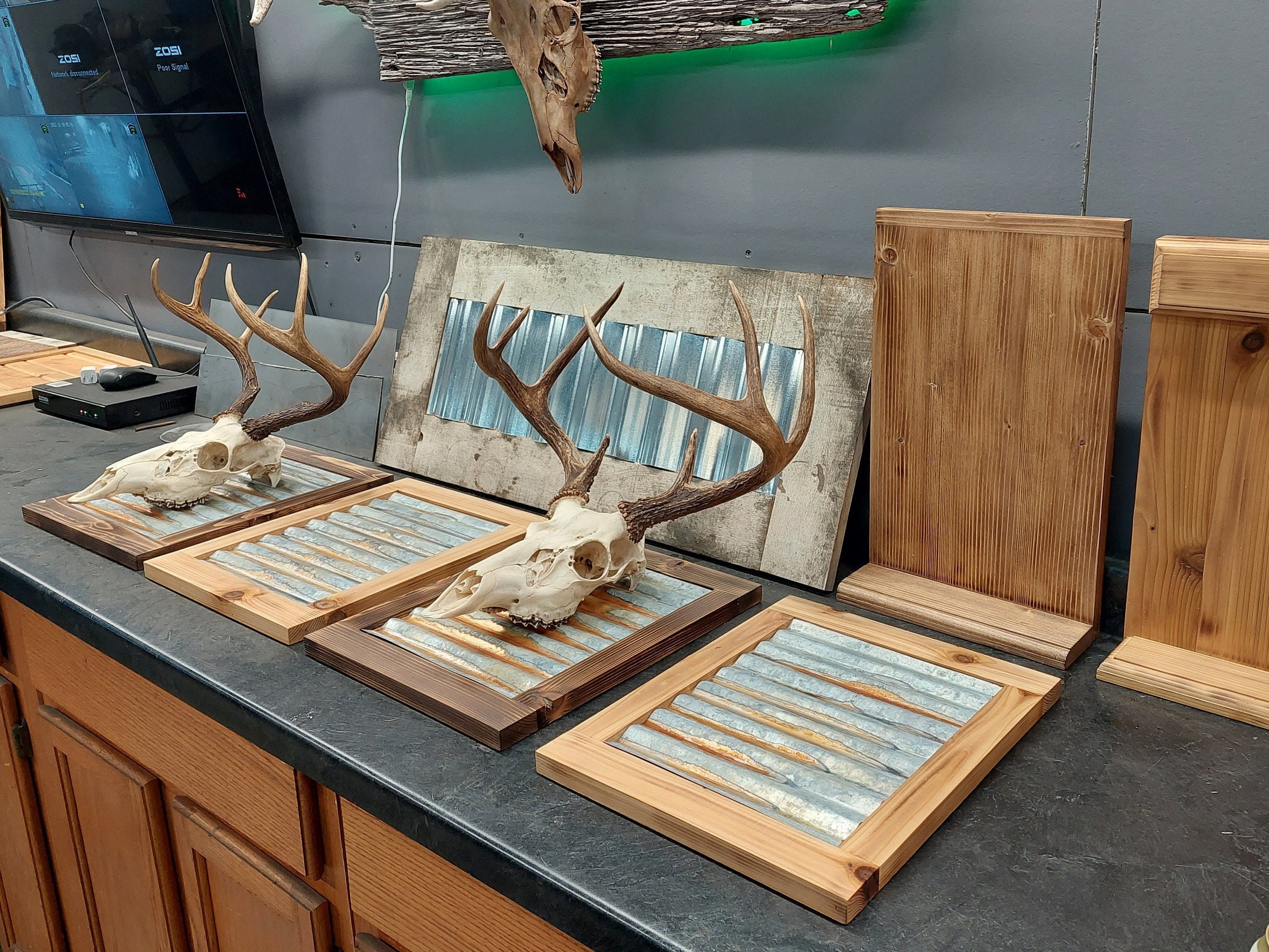 Euro Deer Skull Mount - Etsy