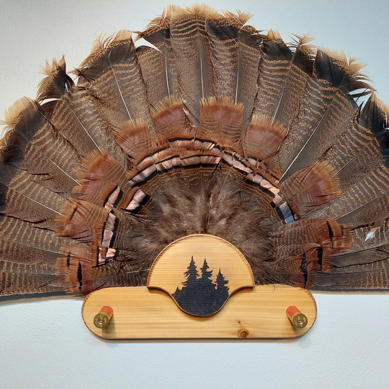 Turkey Fan Mount - Etsy