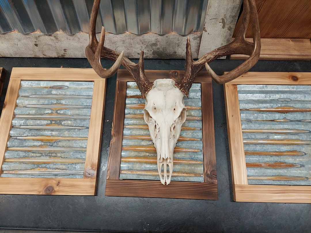 Euro Deer Skull Mount - Etsy