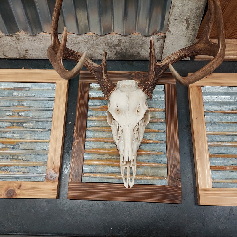 European Mount - Etsy