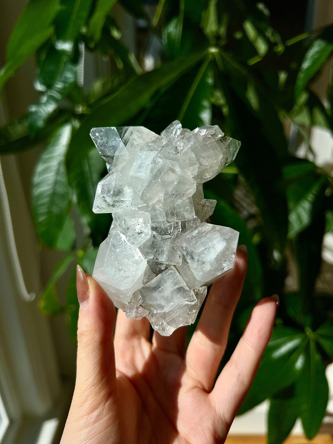 Rare Diamond Apophyllite Stalacite, Clear Apophyllite, Flower Shape ...