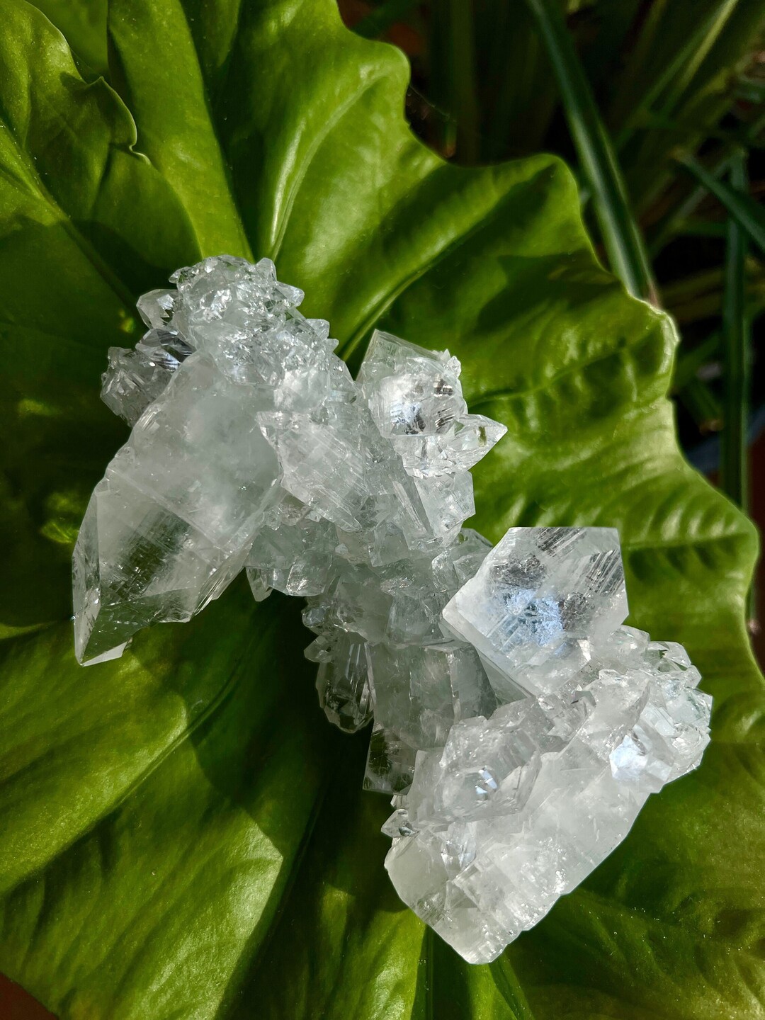 RARE Exceptional Large AAA Grade Transparent Diamond Apophyllite ...