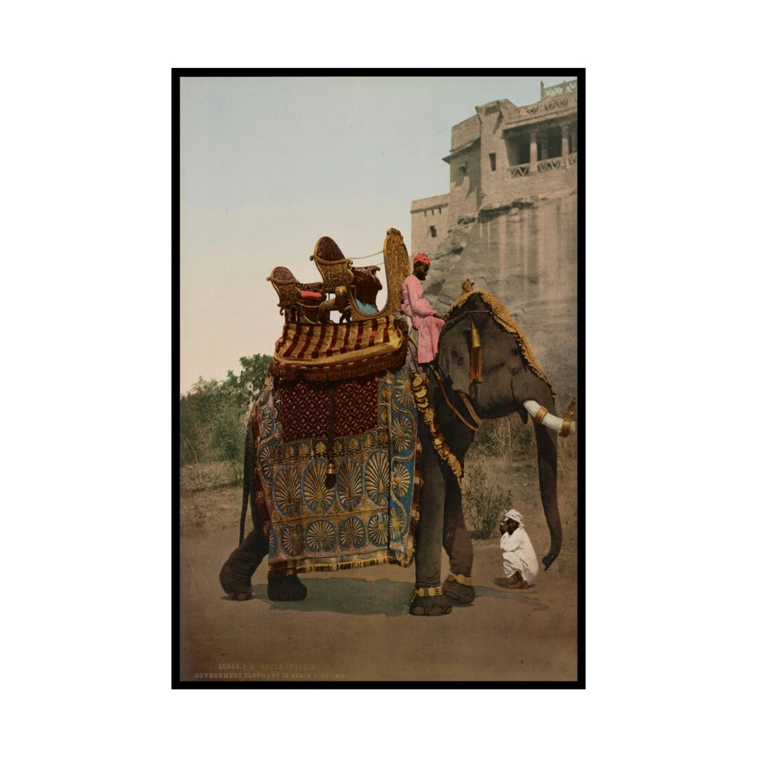Elephant Poster - Etsy