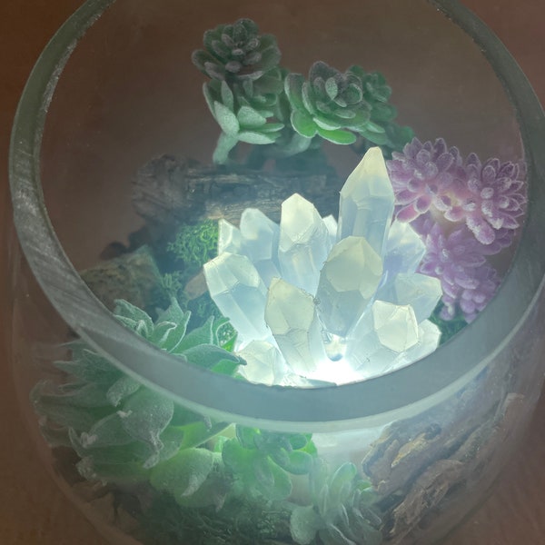 Mini Terrarium - Etsy