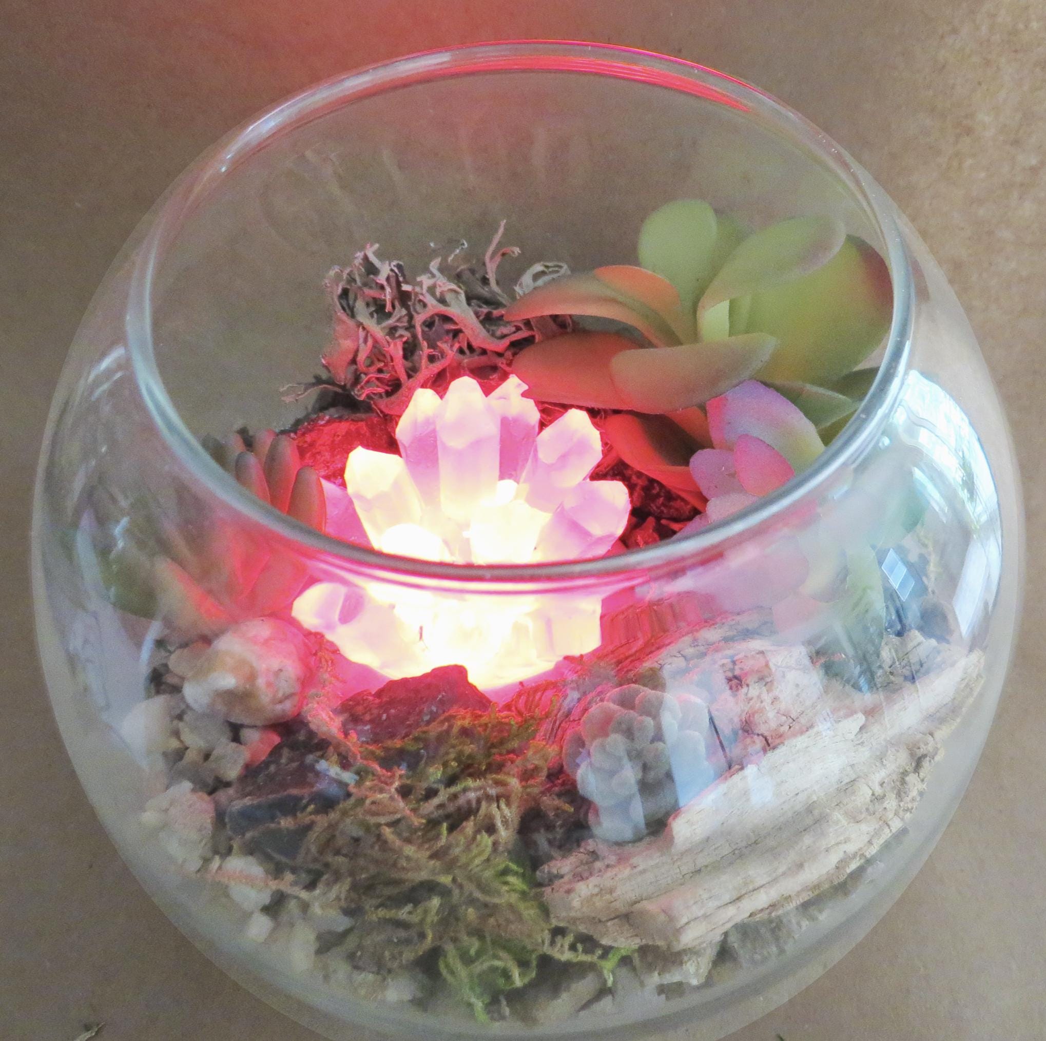 DIY Lighted Faux Crystal Terrarium, Kids Craft, Nature Night Light, No ...
