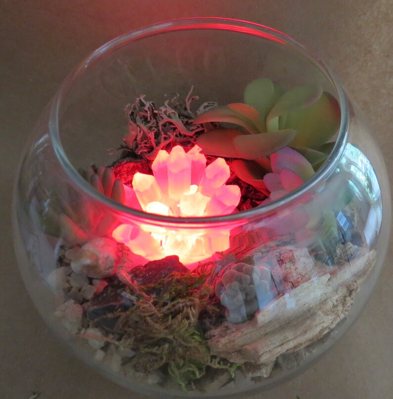 DIY Lighted Faux Crystal Terrarium, Kids Craft, Nature Night Light, No ...