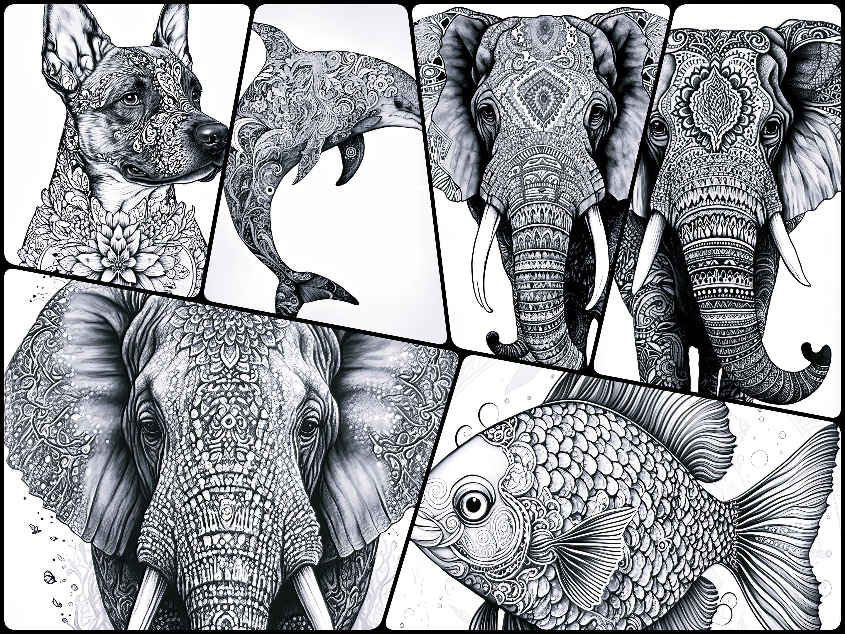 Animal Mandalas Coloring Book Animal Motif Coloring Book Adult - Etsy