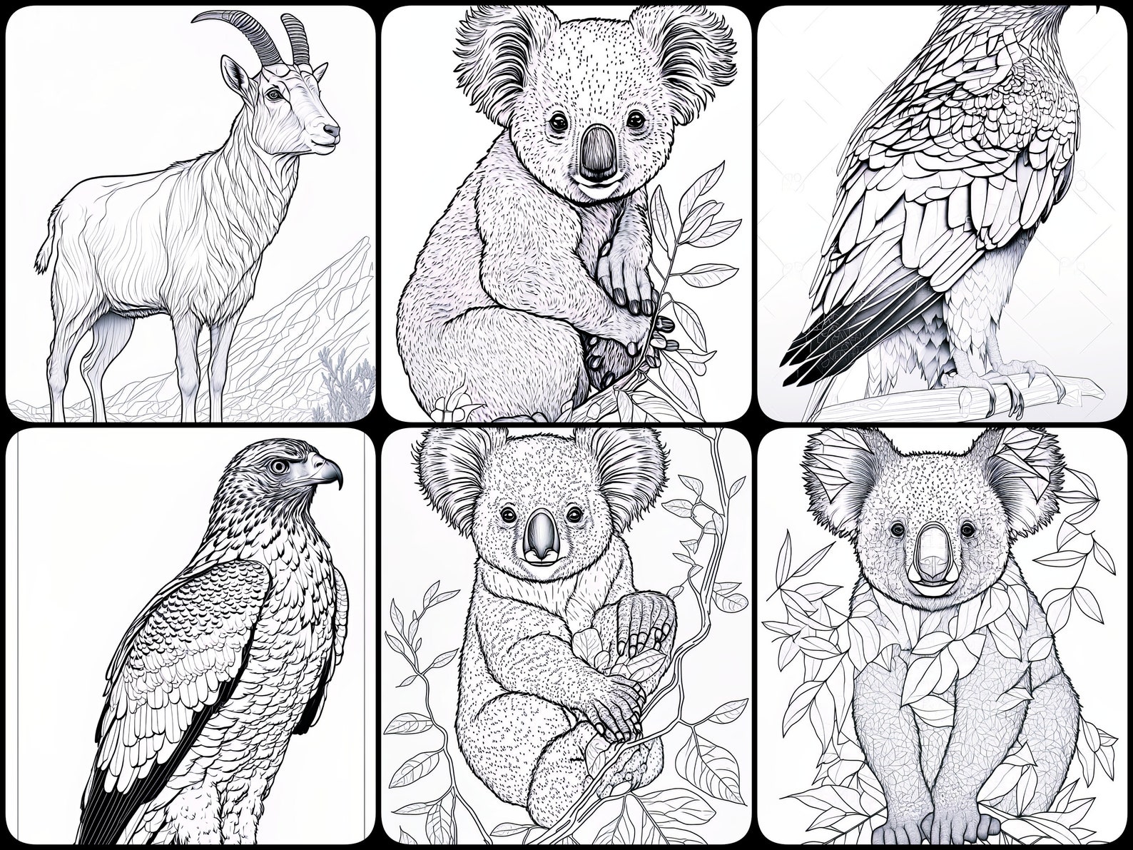 Wildlife Line Art Illustrations for Coloring for Adults, Digital Book ...