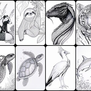 Wildlife Line Art Illustrations for Coloring for Adults, Digital Book ...