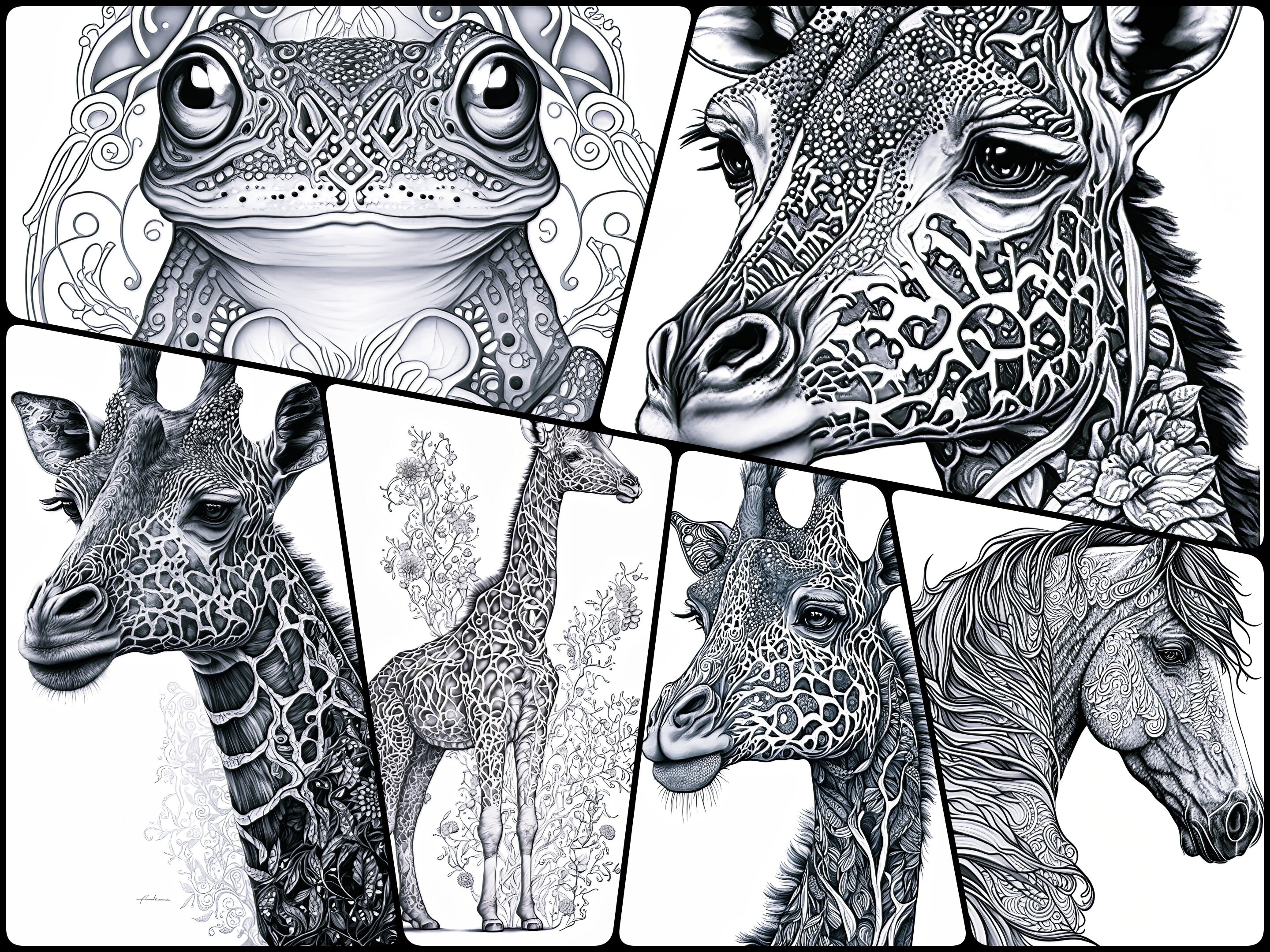 Animal Mandalas Coloring Book Animal Motif Coloring Book Adult - Etsy