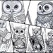 Relaxing Whimsical Owl Creatures Coloring Book for Adults grayscale ...