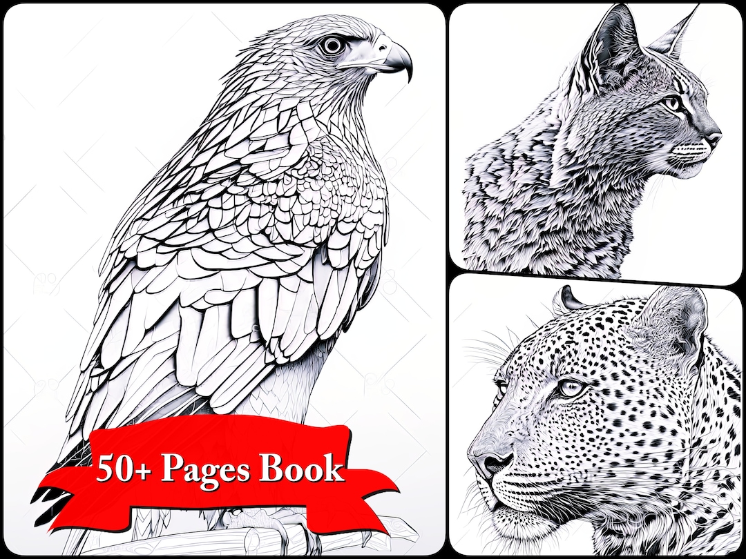 Wildlife Line Art Illustrations for Coloring for Adults, Digital Book ...