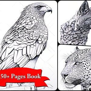 Wildlife Line Art Illustrations for Coloring for Adults, Digital Book ...