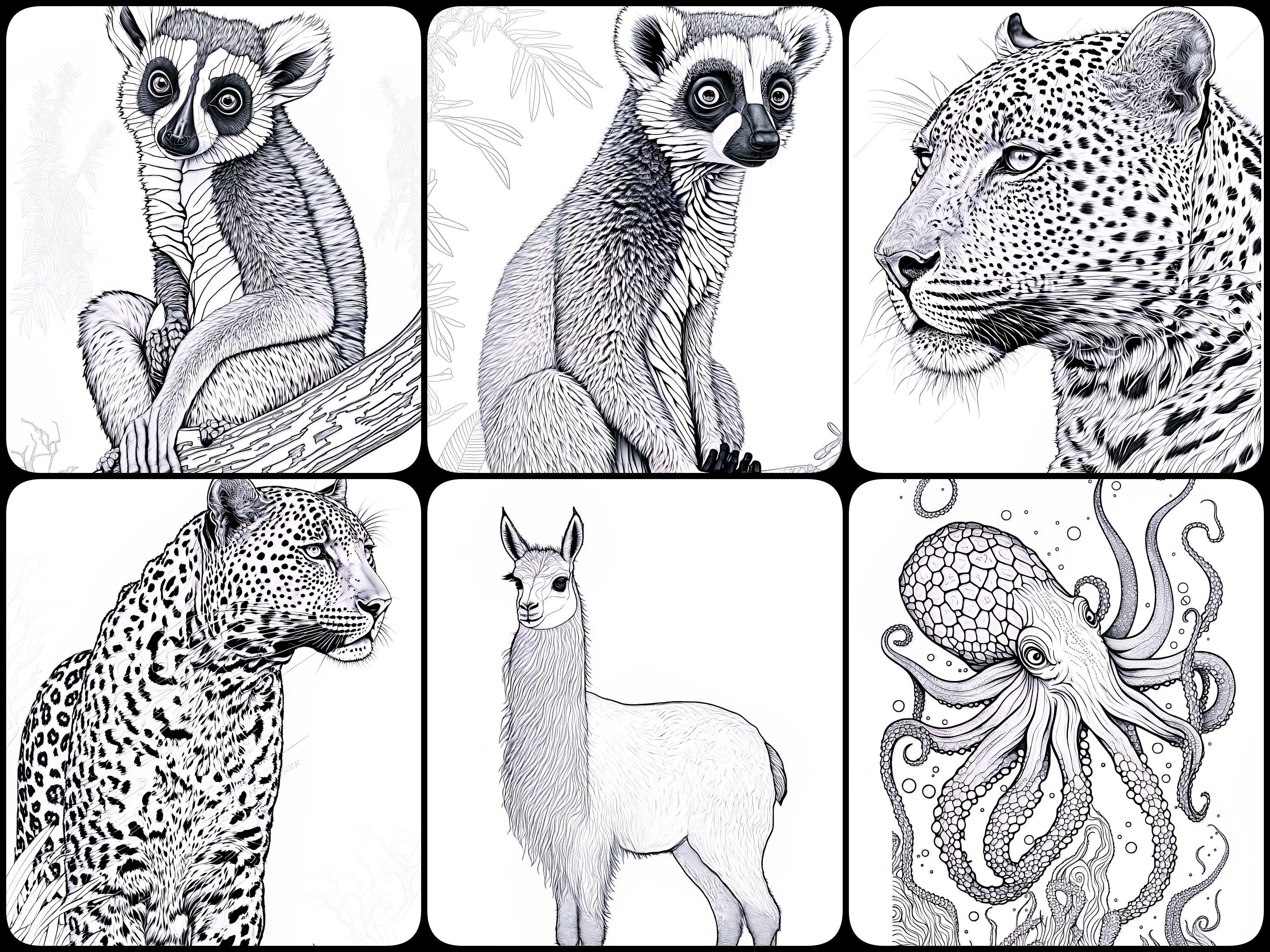 Wildlife Line Art Illustrations for Coloring for Adults, Digital Book ...