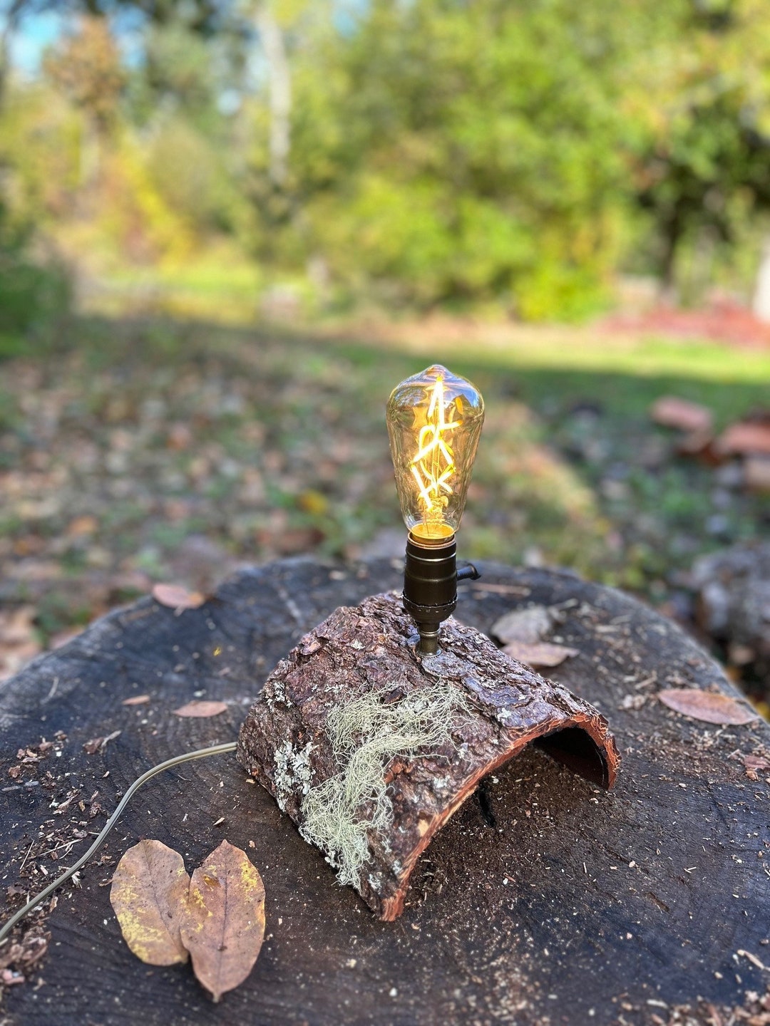 Hand Made Real Tree Bark Table Lamp - Etsy
