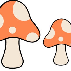 Groovy Year Bulletin Board Kit - Etsy