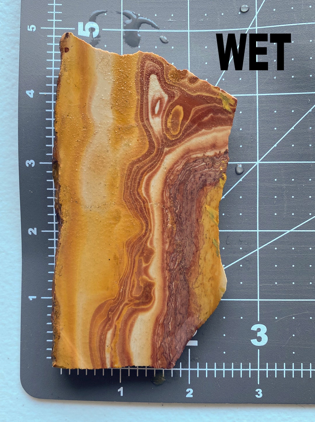 Beautiful Banded Rhyolite Wonderstone -- With Reds and Golden Yellows ...