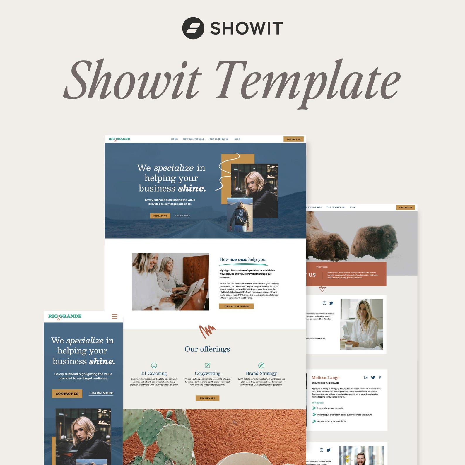 Showit Template, Website Template, Marketing Website, Instant Download, Showit Design, Coaching ...