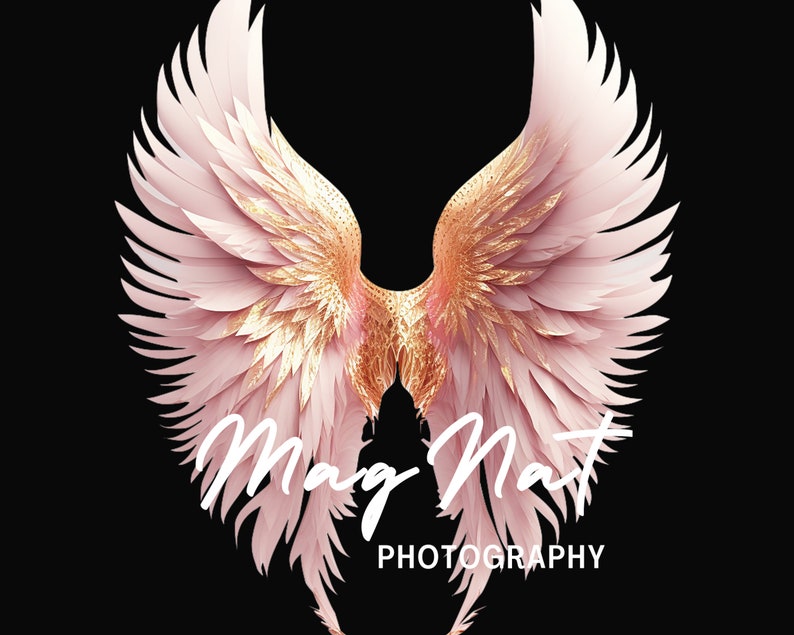 12 Angel Wings PNG | Angel Wings Backdrops for Photography | Maternity ...