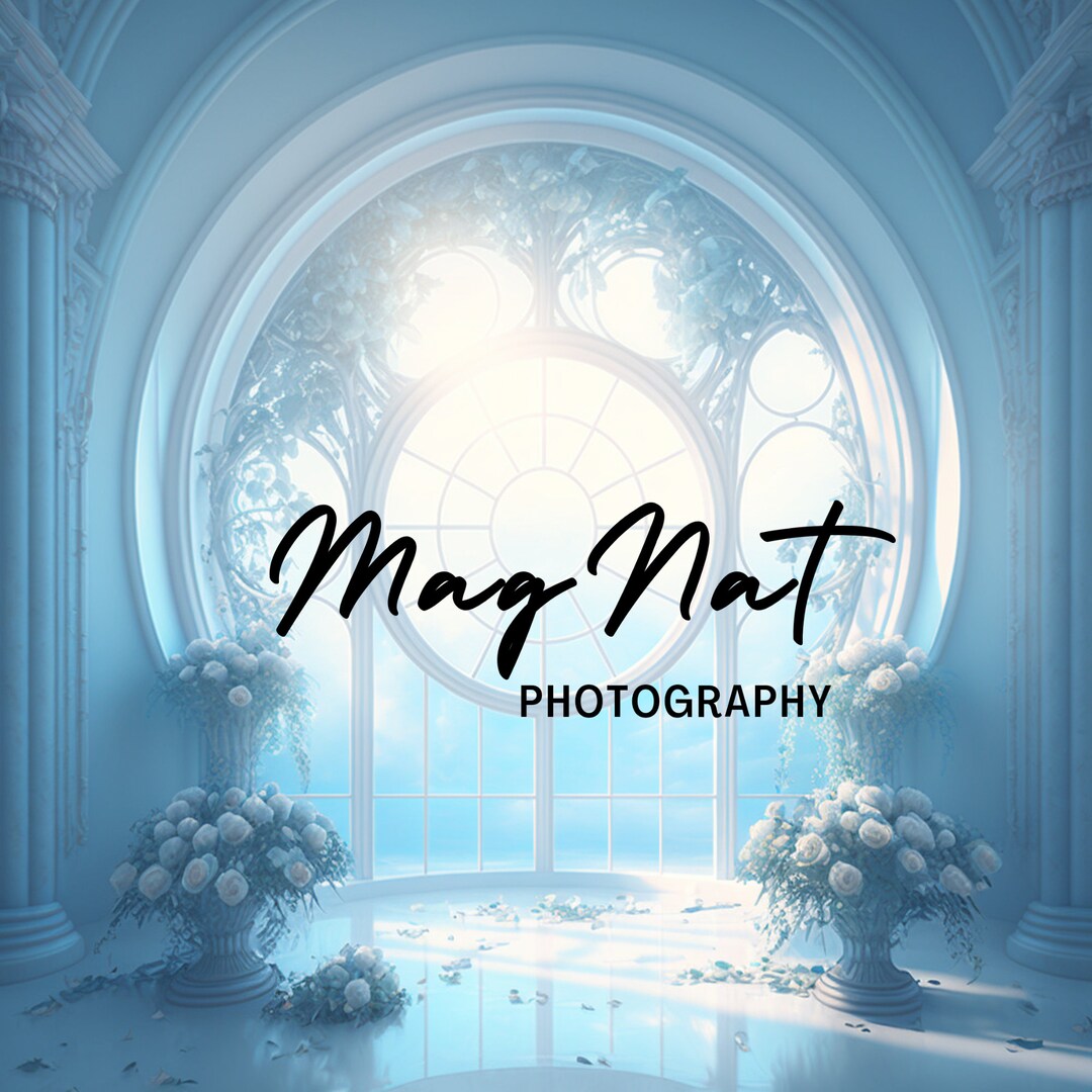 Window Overlay Photoshop Photo Overlay for Photoshop Fine - Etsy