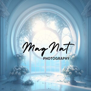 Window Overlay Photoshop | Photo Overlay for Photoshop | Fine Art ...