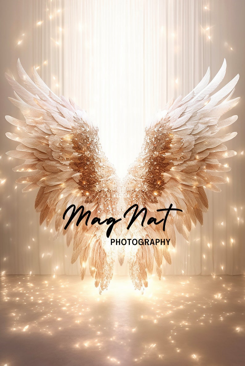 Set of 4 Angel Wings Digital Backdrops Prop Digital - Etsy