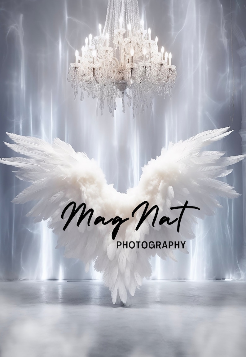 Set of 4 Angel Wings Digital Backdrops Prop Digital - Etsy