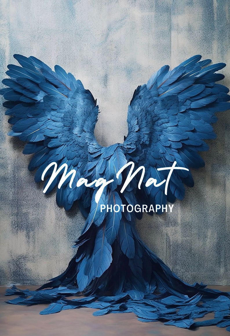 Set of 4 Angel Wings Digital Backdrops Prop Digital - Etsy