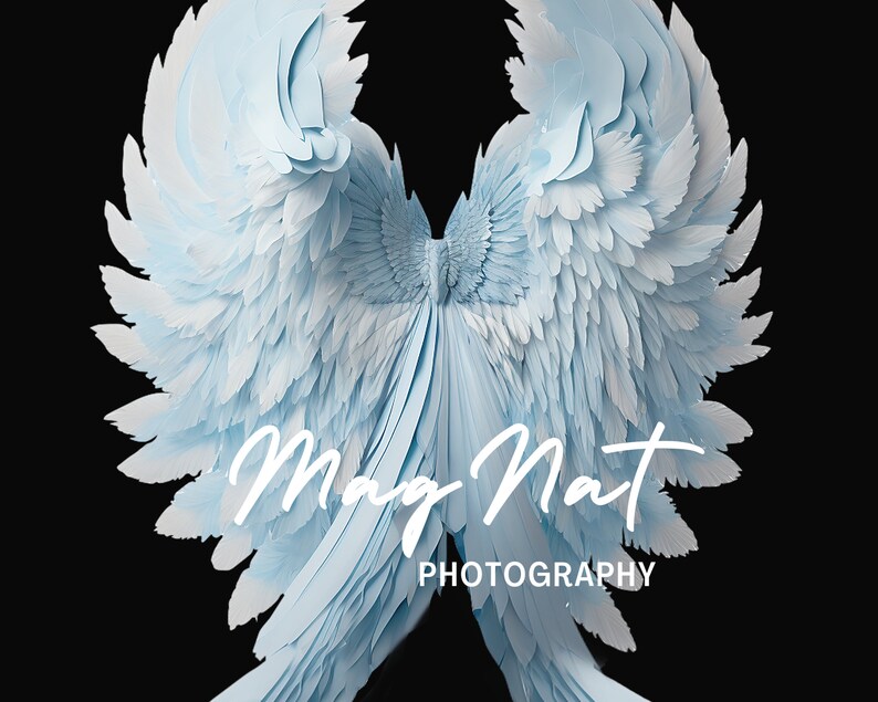 Angel Wings PNG Overlays | Maternity Photography Backdrops (digital ...