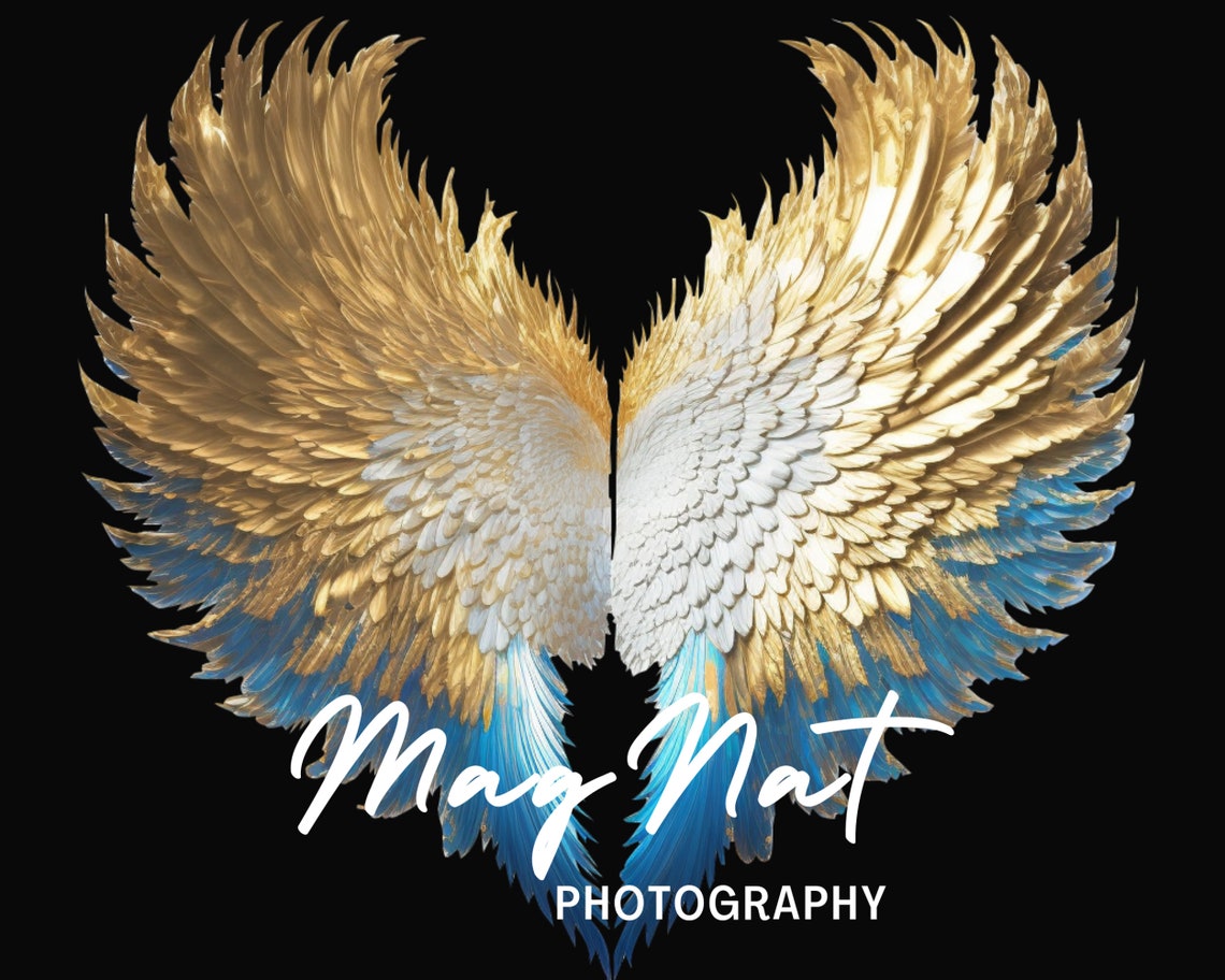 12 Angel Wings PNG | Angel Wings Backdrops for Photography | Maternity ...