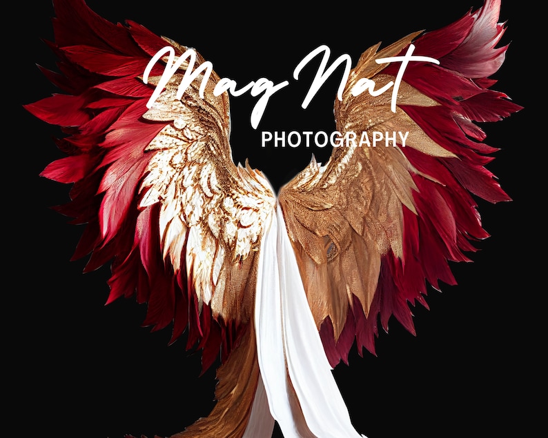 Angel Wings PNG Overlays | Maternity Photography Backdrops (digital ...