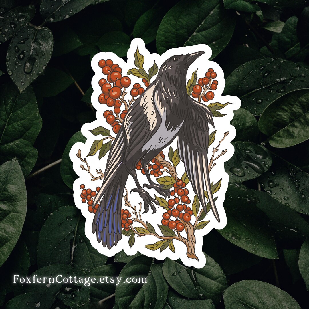 Magpie and Cranberry Sticker | Bird Sticker, Animal Lovers - Etsy