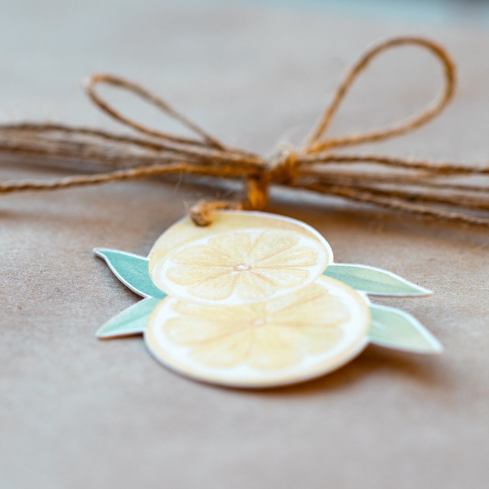 Lemon Favor Tag Limoncello Gift Tag Lemon Party Favor Tag Citrus Gift ...