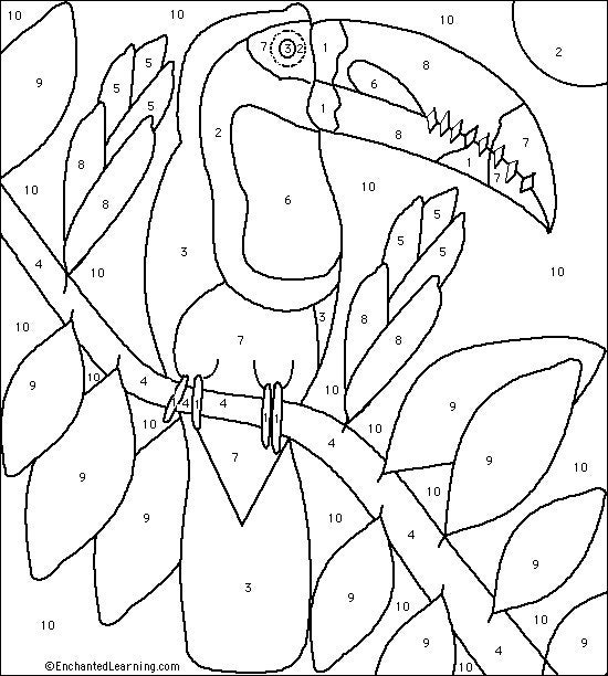 Color by Numbers Bundle - Etsy