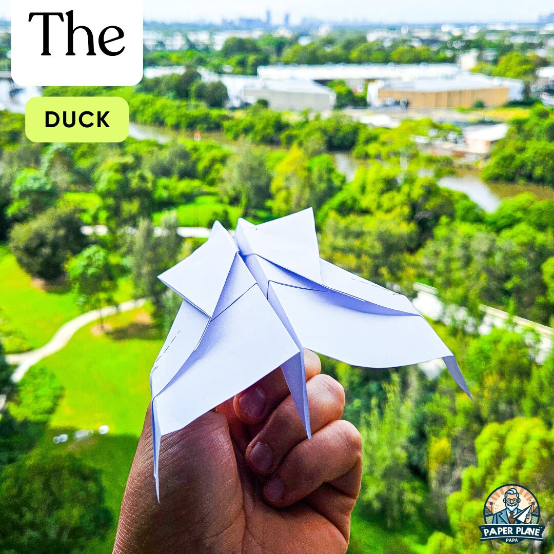 Premium DIY Paper Plane Kit: the Duck - Quirky & Fun - Etsy