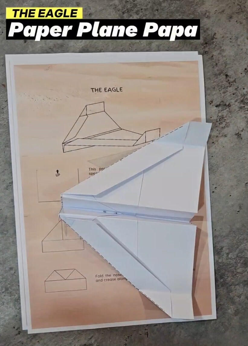 Premium DIY Paper Plane Kit: the Eagle Majestic & Powerful - Etsy