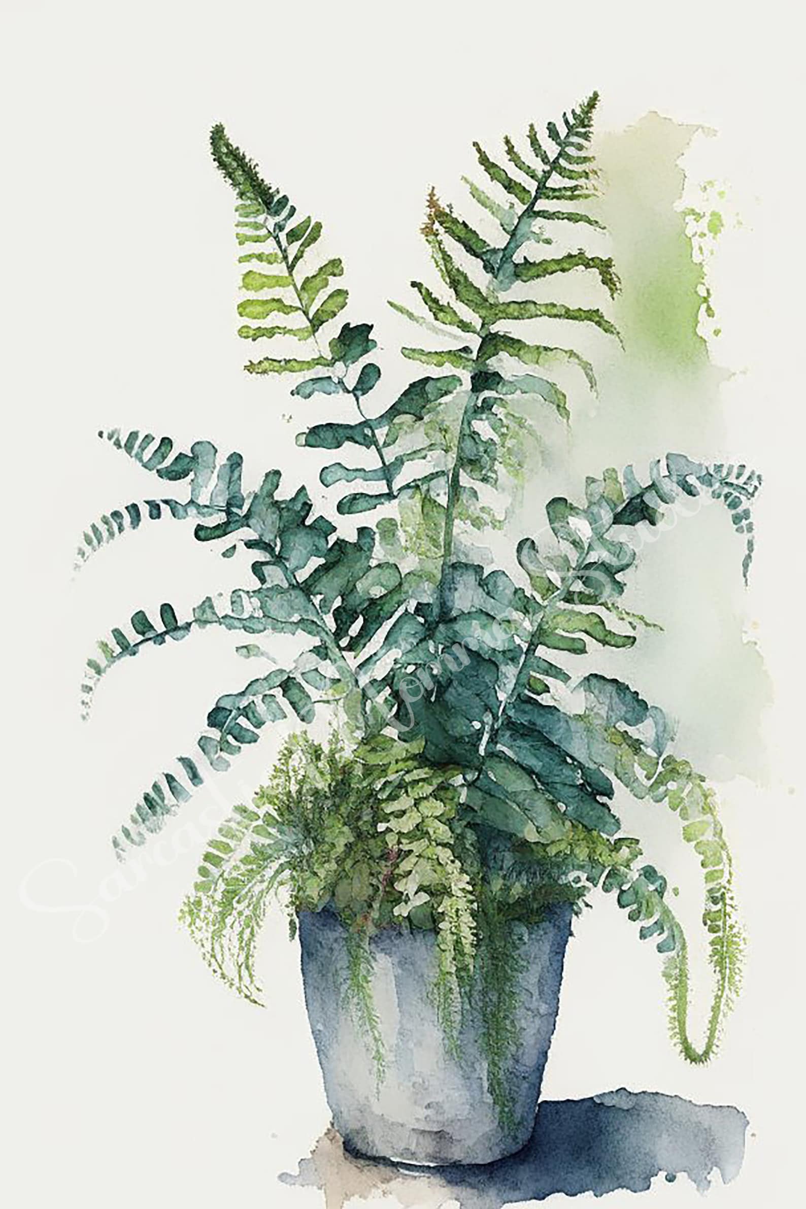 Watercolor Boston Fern 4pcs 300 Dpi JPEG Potted Plant Clip - Etsy