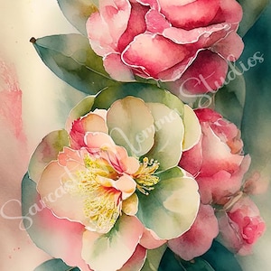 Watercolor Camellia Flowers (set B) 4pcs 300 Dpi JPEG, Flower Clip Art ...