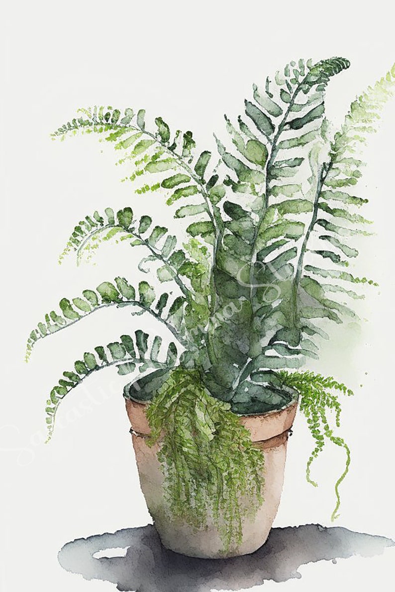 Watercolor Boston Fern 4pcs 300 Dpi JPEG Potted Plant Clip - Etsy