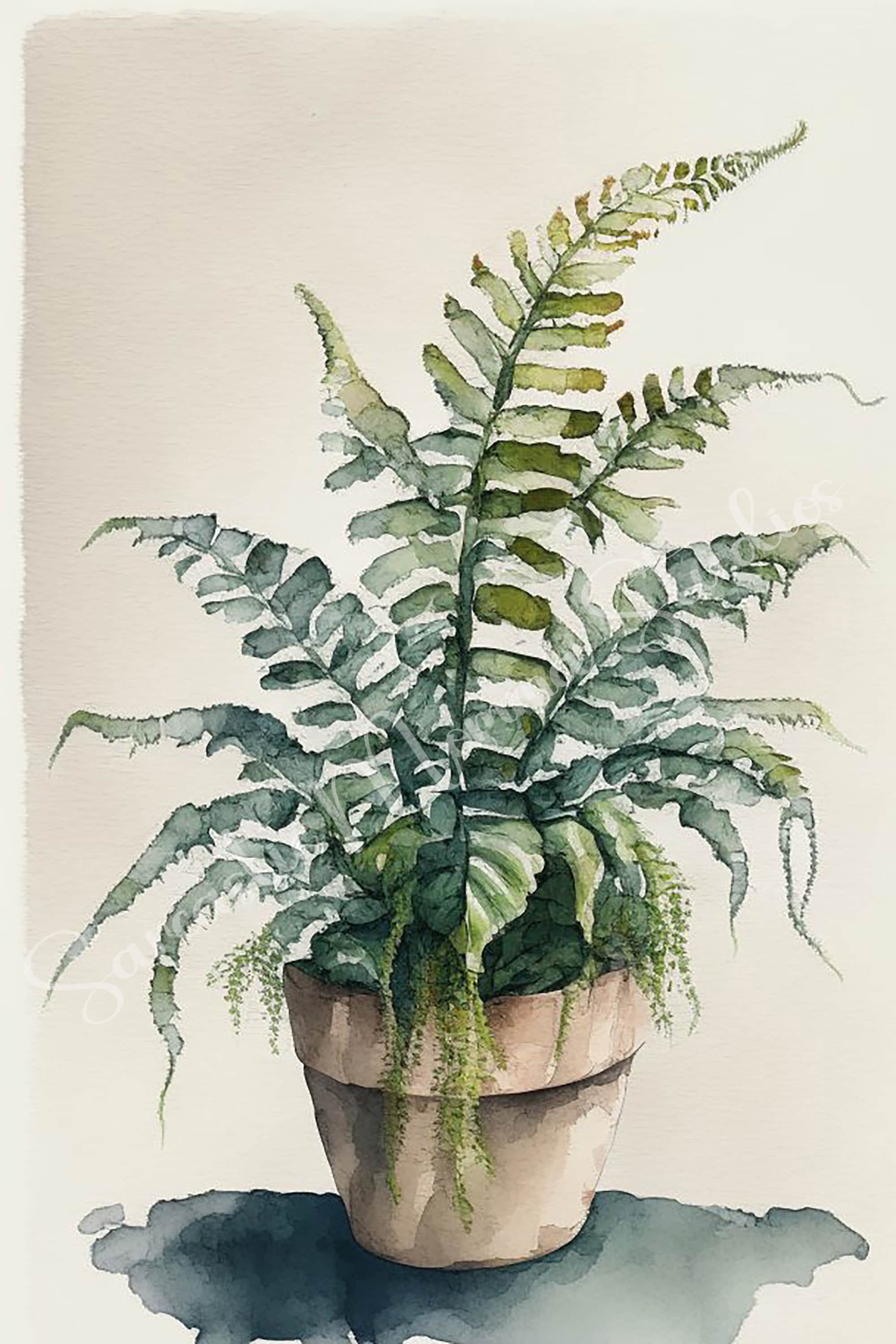Watercolor Boston Fern 4pcs 300 Dpi JPEG Potted Plant Clip - Etsy