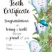 Lost Tooth Blank Certificate, Tooth Fairy Alternative, Celebrate ...